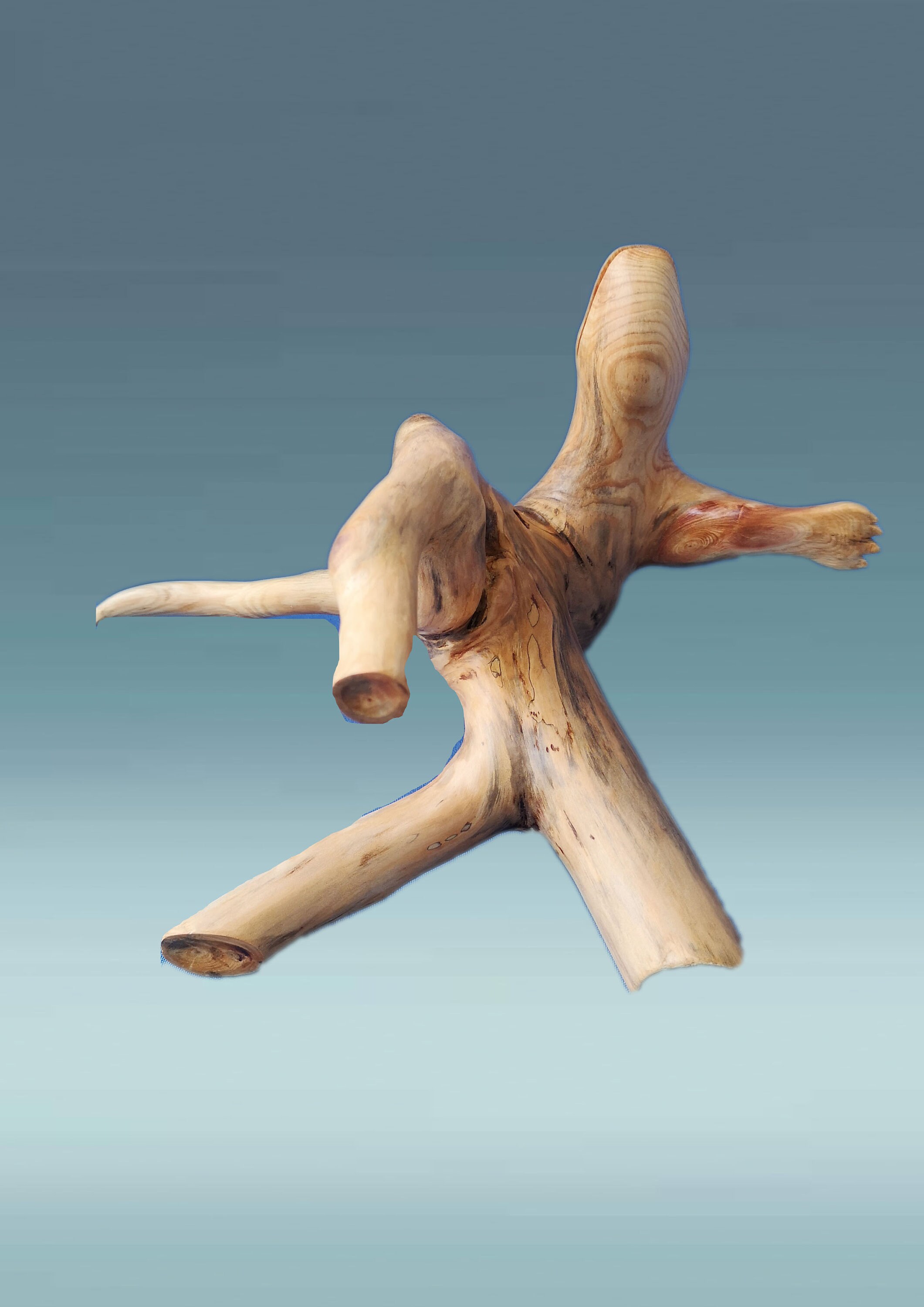 Wooden lizard reptile wood lizard wooden reptile wood | Etsy