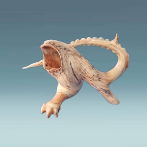 Wooden Lizard, Reptile, Burl Wood Lizard, Wooden Reptile, Wood Reptile ...