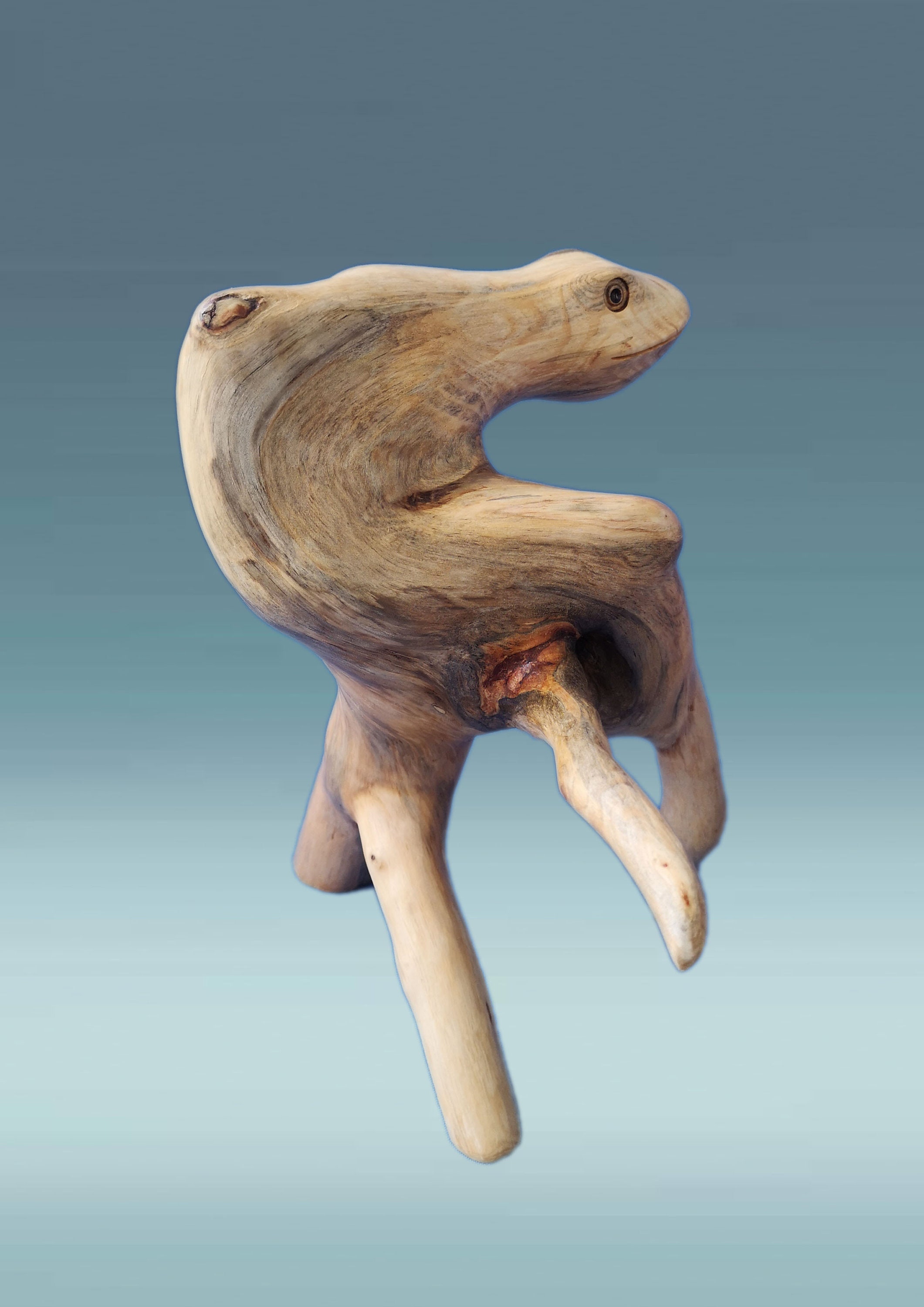 Wooden Lizard Reptile Wood Lizard Wooden Reptile Wood - Etsy UK