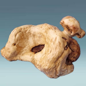 Wooden Predator, Wooden Sculpture, Wood Burl Decor, Handmade Wooden ...