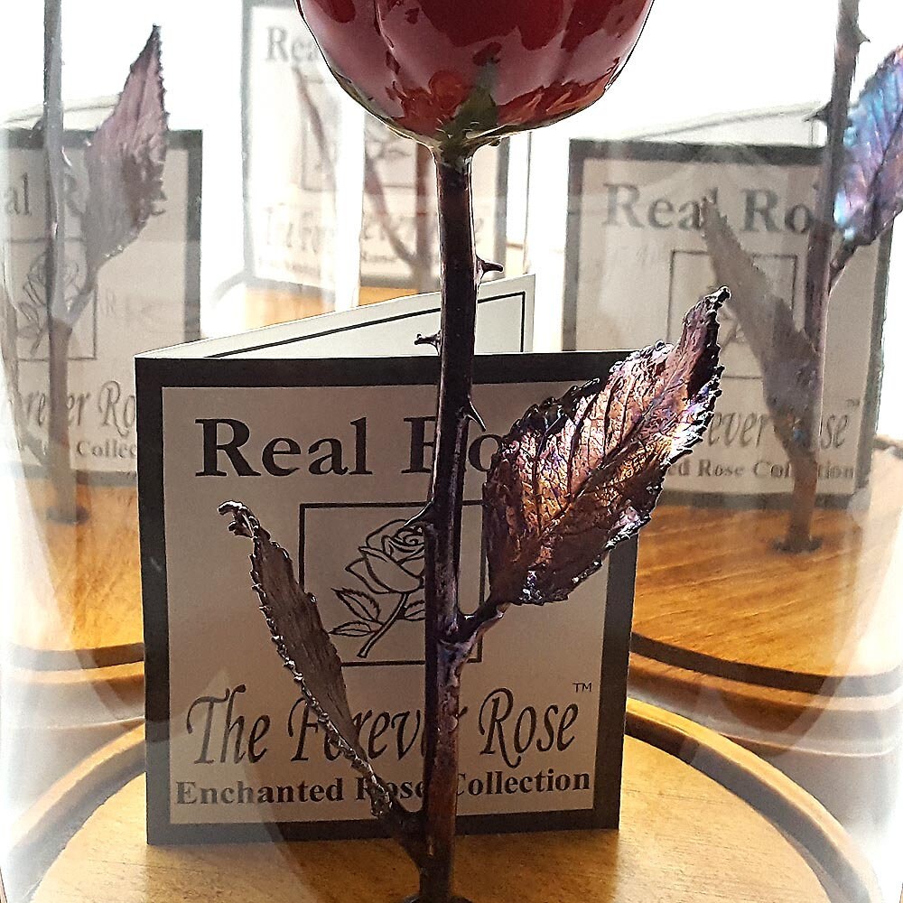 The Enchanted Beauty and the Beast Rose Real Red Rose Preserved to Last ...