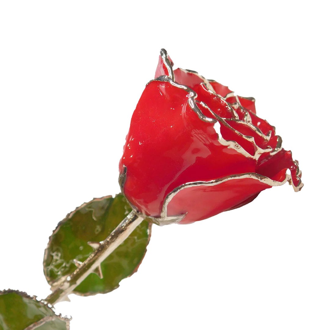 Personalized Forever Rose - Red With Silver Trim - Hand Made From a ...