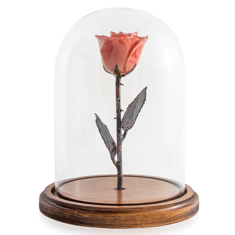 Enchanted Rose - Etsy