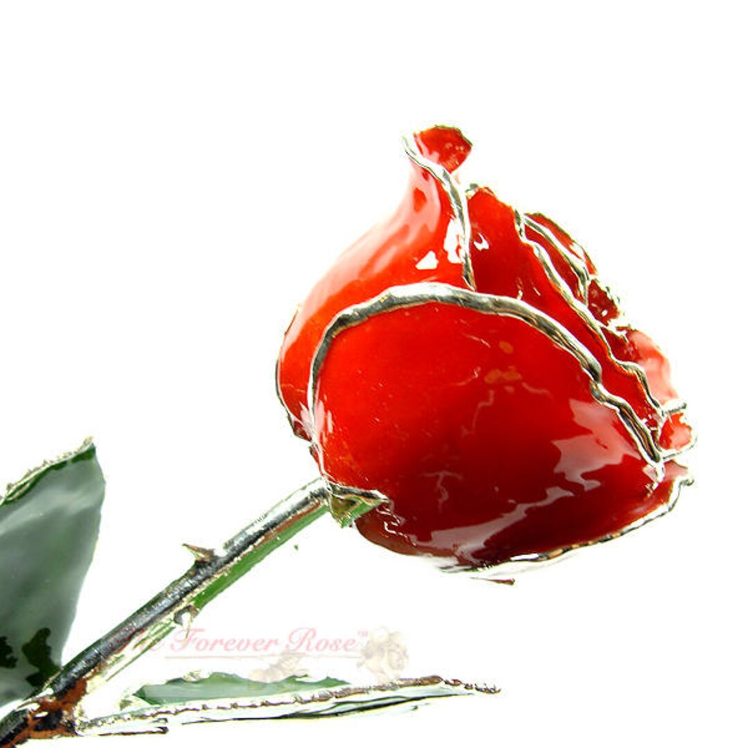 Forever Rose - Red With Silver Trim - Hand Made From a Real Rose! - Etsy