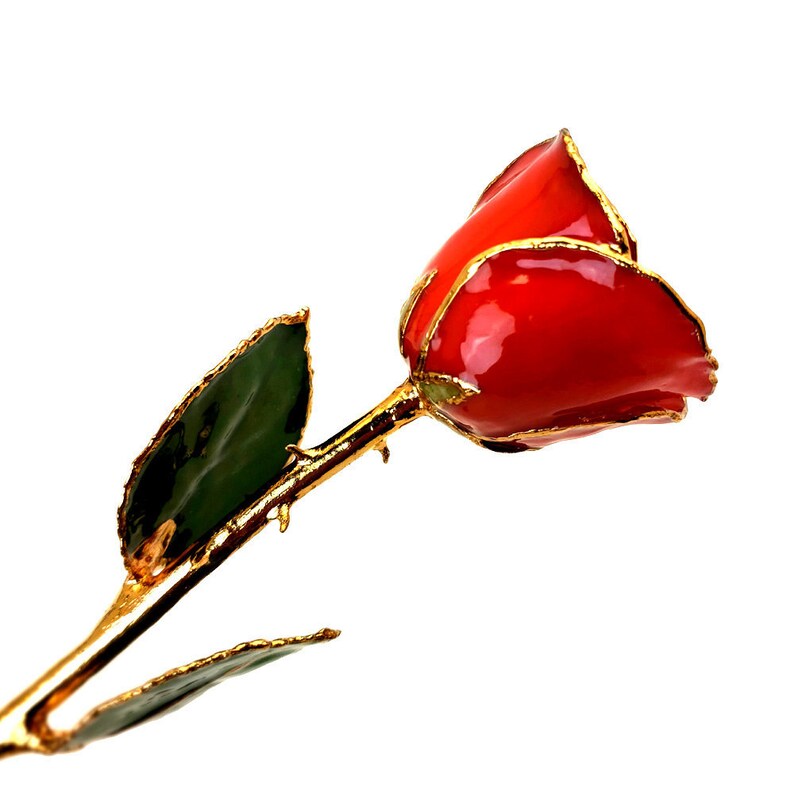 The Forever Rose - Real Red Rose Hand Trimmed in 24K Gold + Gold Gift ...