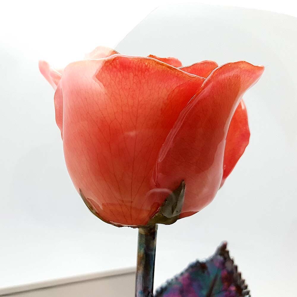 The Enchanted Rose - Real Pink Rose on Wood Base With Glass Dome | Made ...