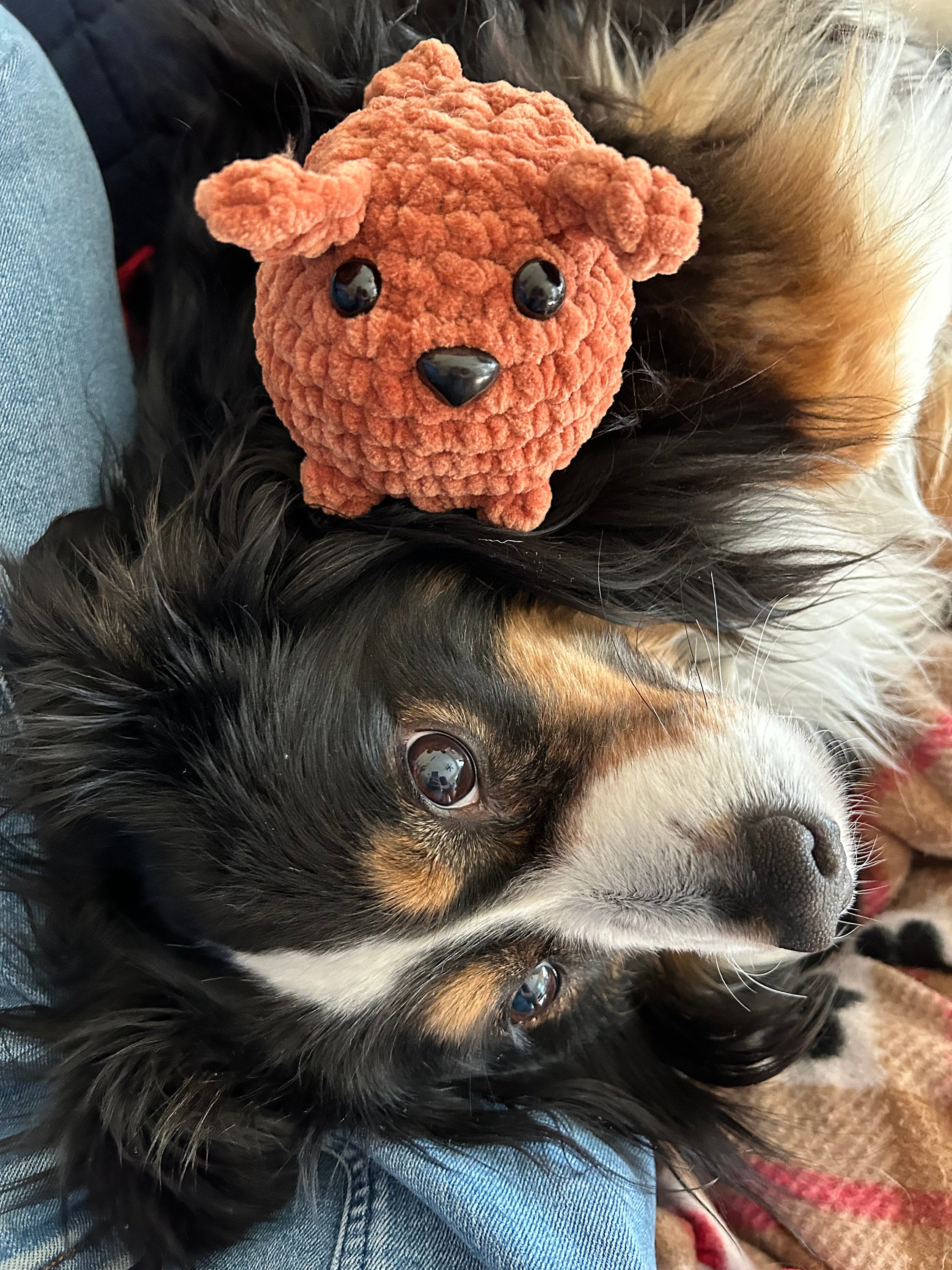 Spud the Potato Pup Crochet Pattern, No Sew Dog Crochet Pattern ...