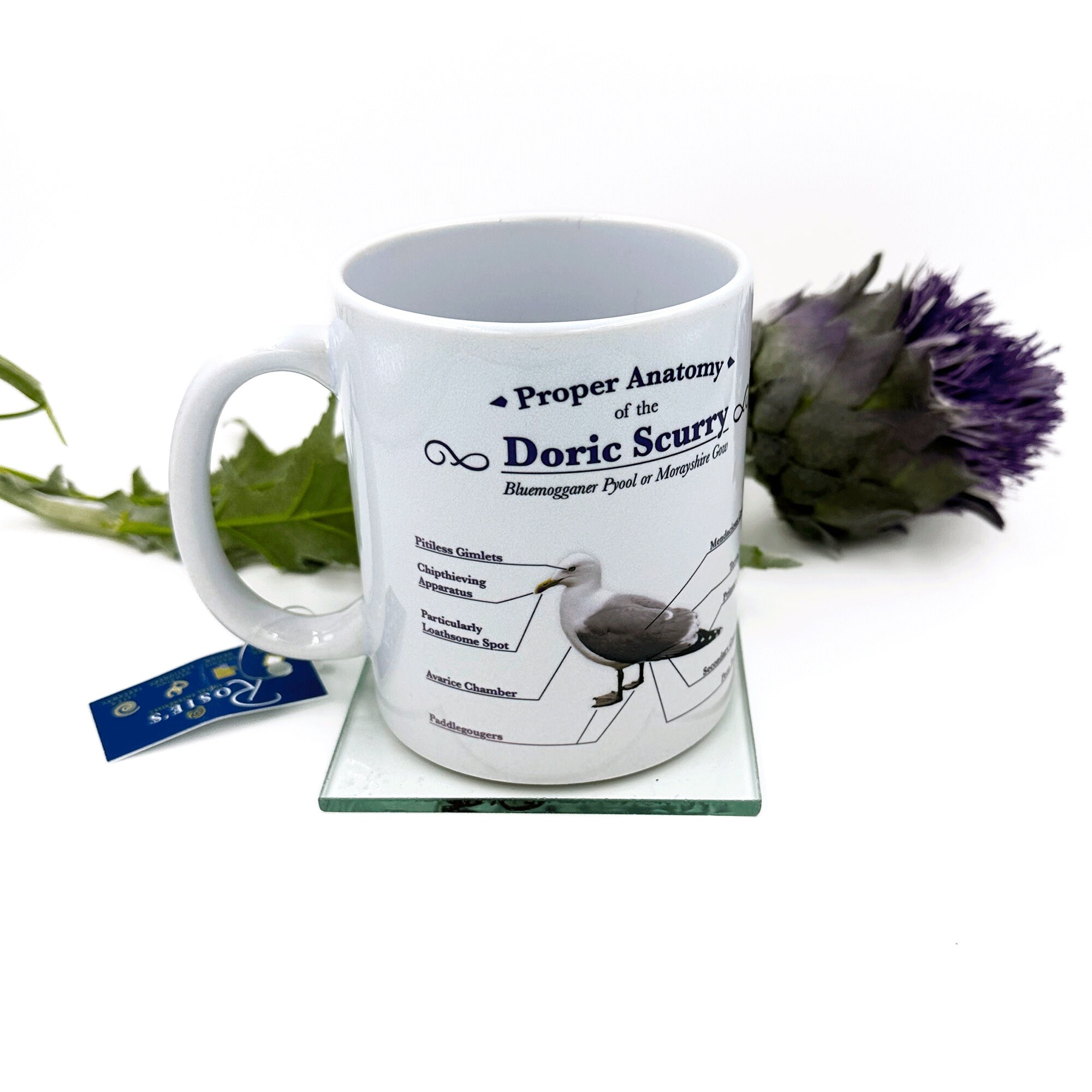 Proper Anatomy of a Doric Scurry seagull Scottish Mug, Proceeds Go to ...