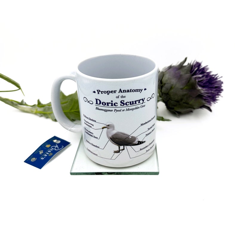 Proper Anatomy of a Doric Scurry (seagull) Scottish Mug, Proceeds Go to ...