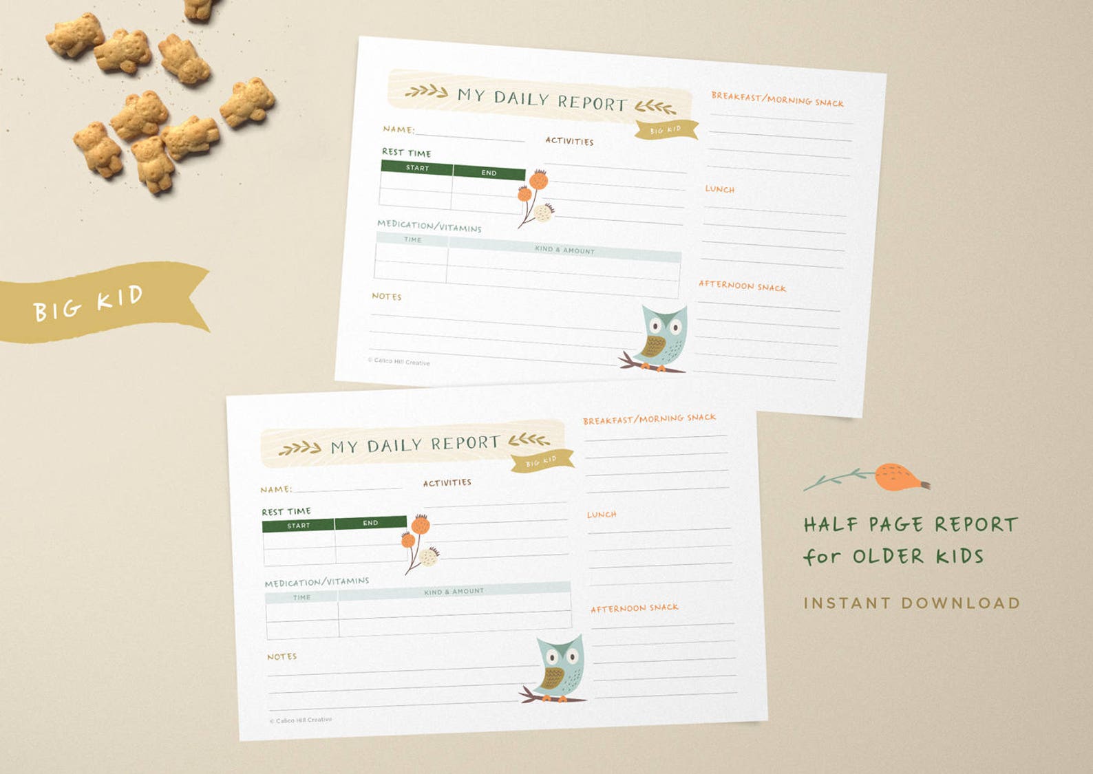 Big Kid Daily Log / Daycare, Nanny, Babysitter or Child Care Report ...