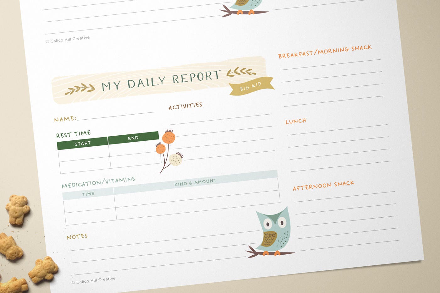 Big Kid Daily Log / Daycare, Nanny, Babysitter or Child Care Report ...