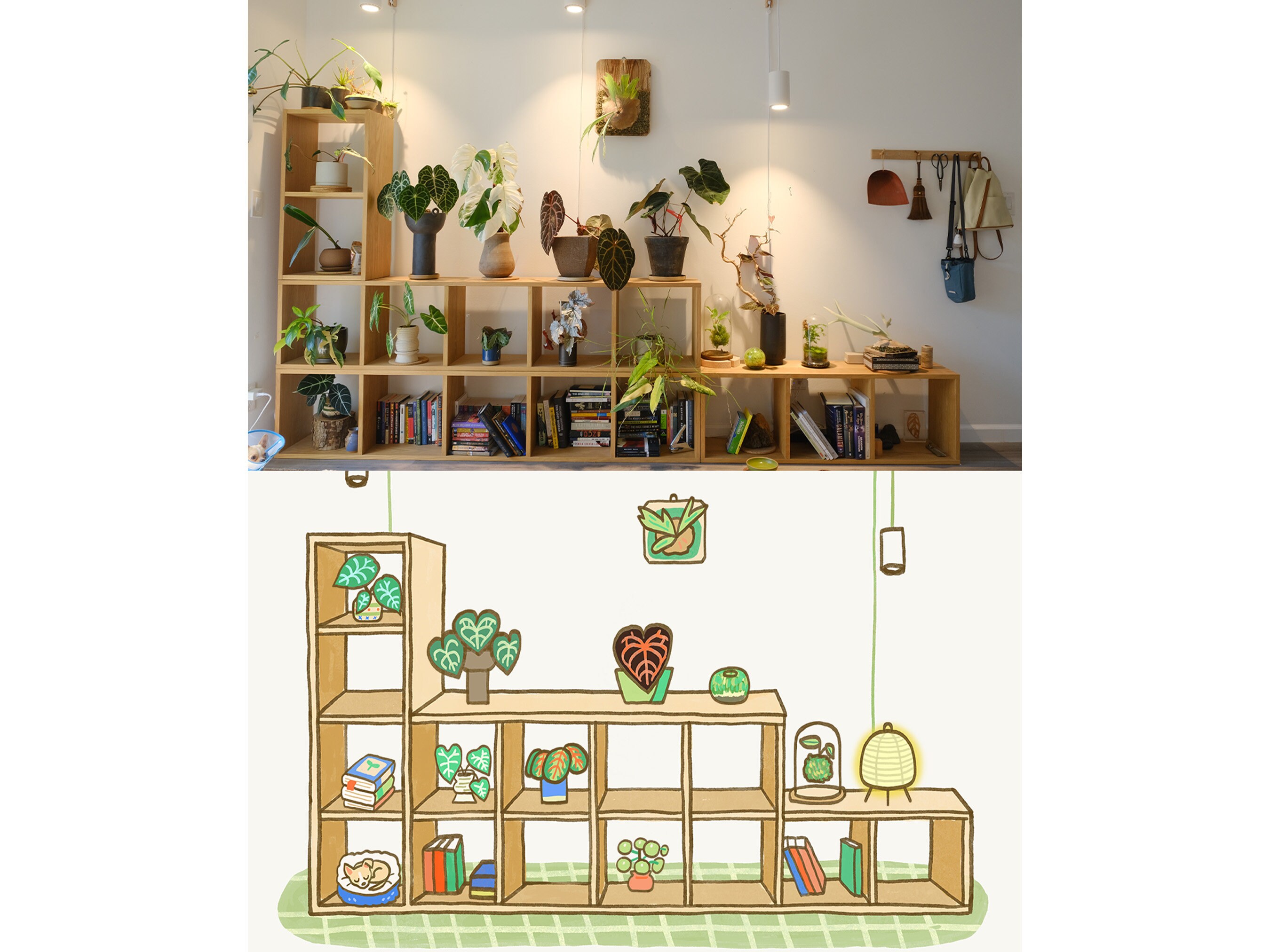 Interactive Plant Desktop Wallpaper Theme Background Organizer - Etsy ...