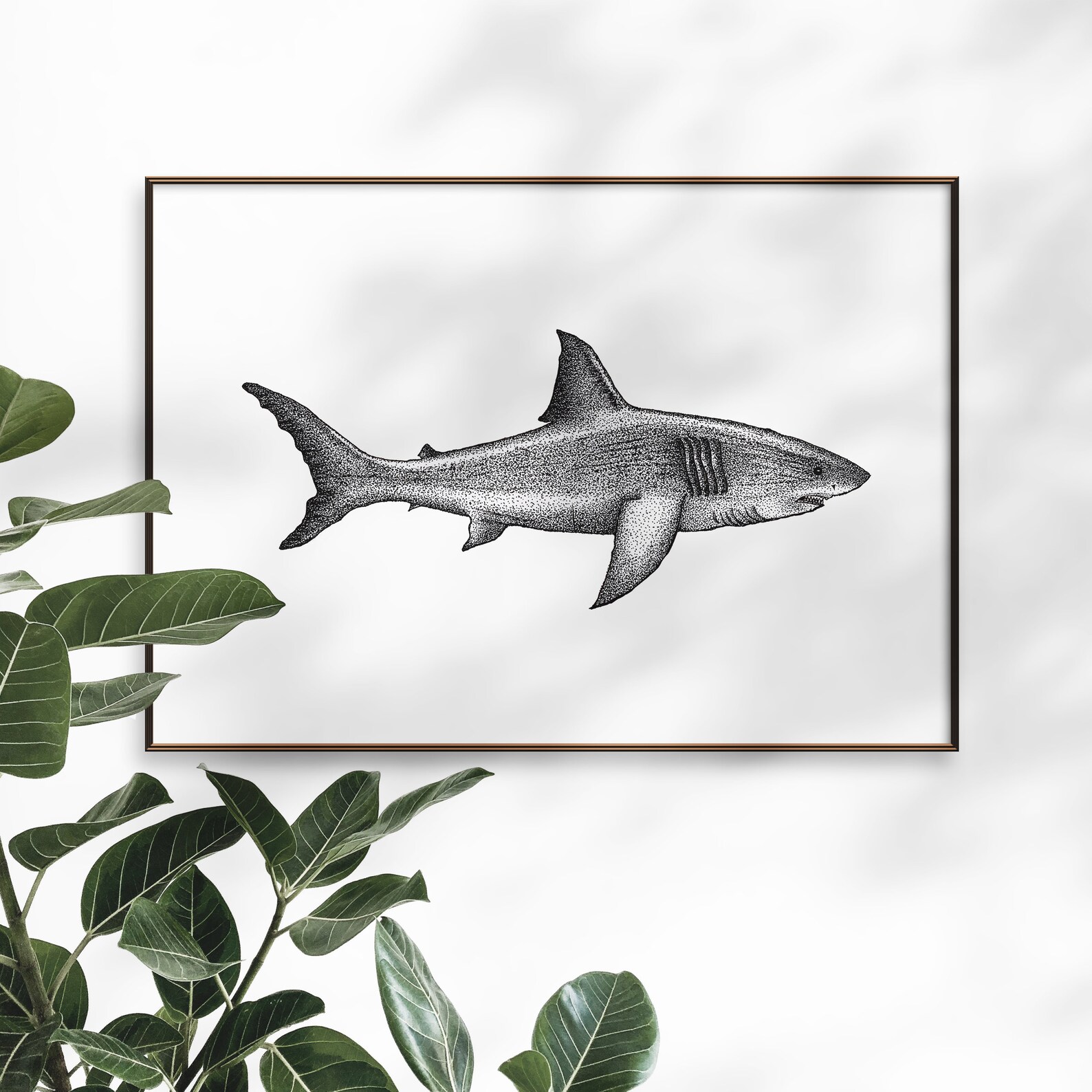 Shark art print Dotwork stipple illustration of Great White | Etsy