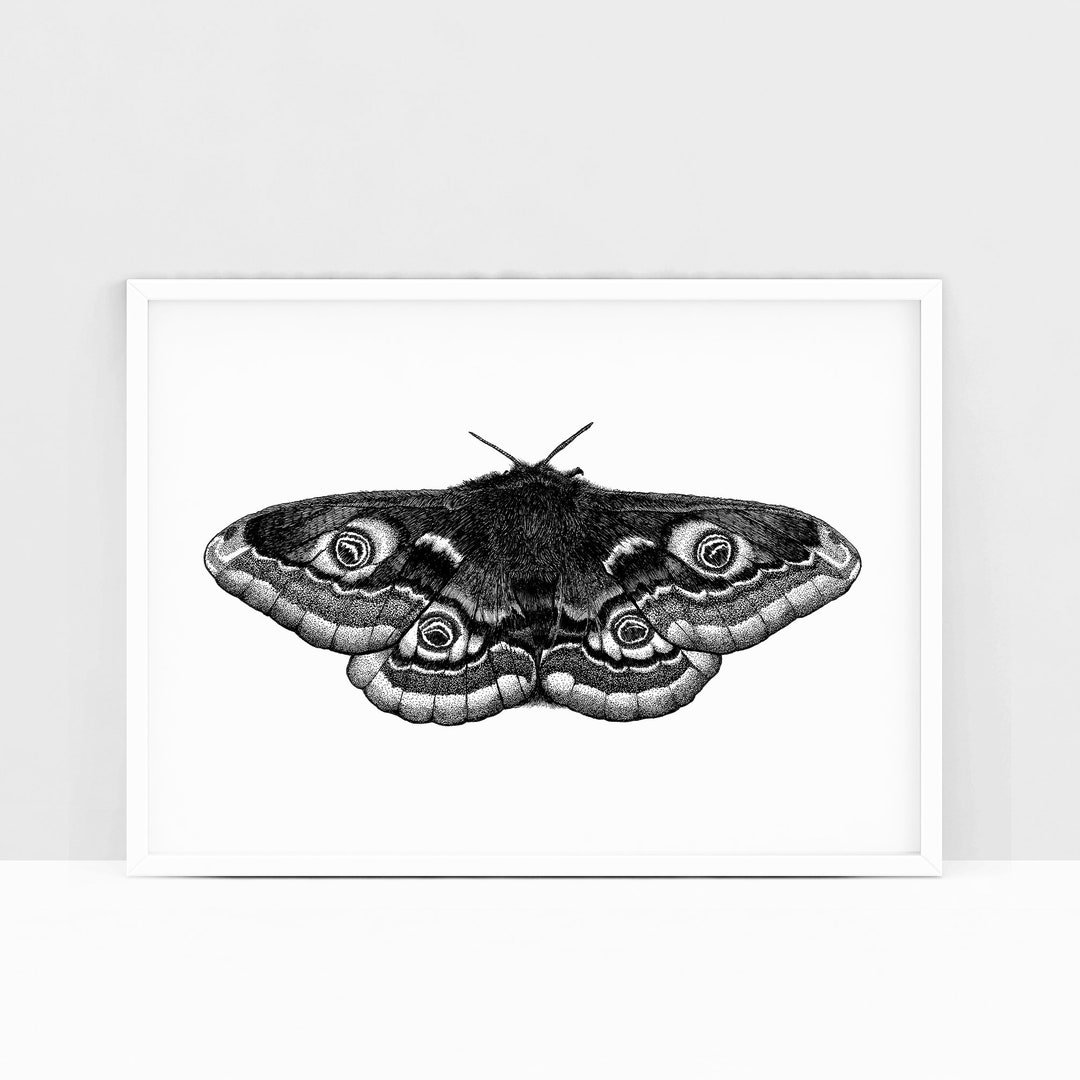 Moth Art Print Dotwork Stipple Illustration of Moth Hand Drawn Black ...