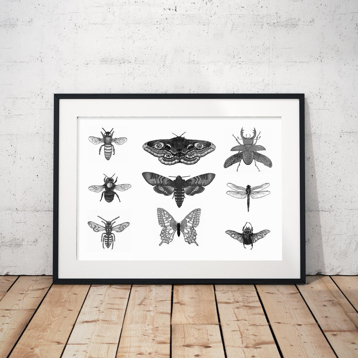 Insect art print Dotwork stipple illustration of Insects | Etsy
