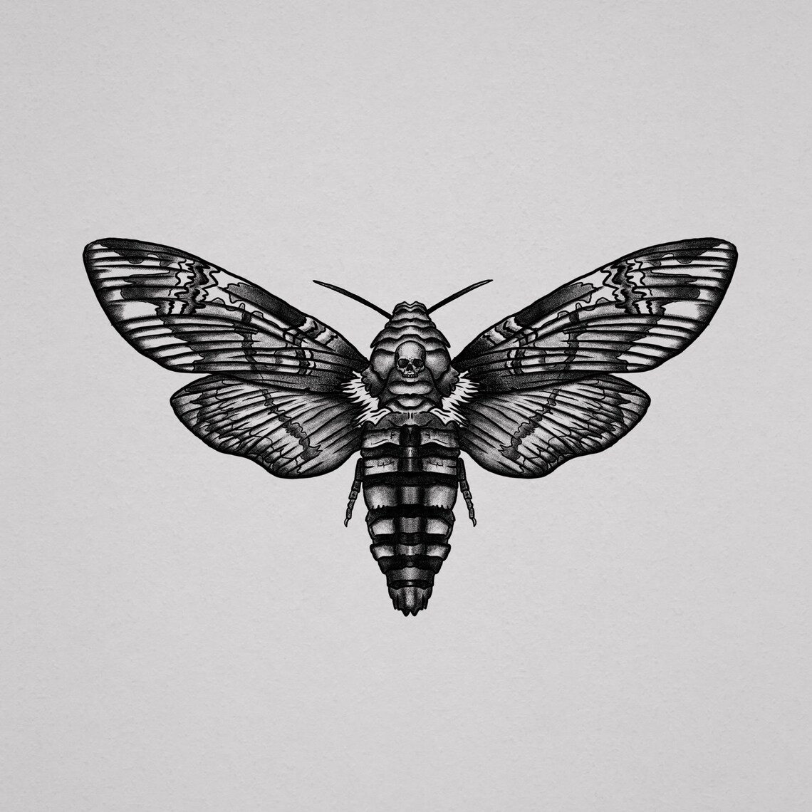 Death Moth art print Dotwork stipple illustration of Death | Etsy