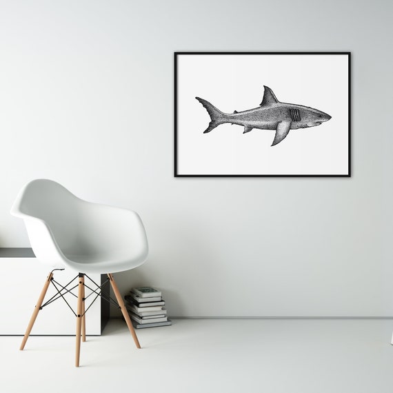 Shark art print Dotwork stipple illustration of Great White | Etsy