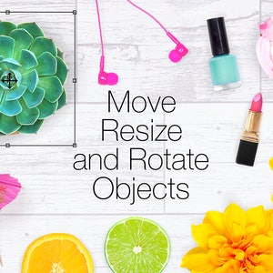 Summer Scene Creator, Colorful Top View Mockup Creator Including 2 Card ...