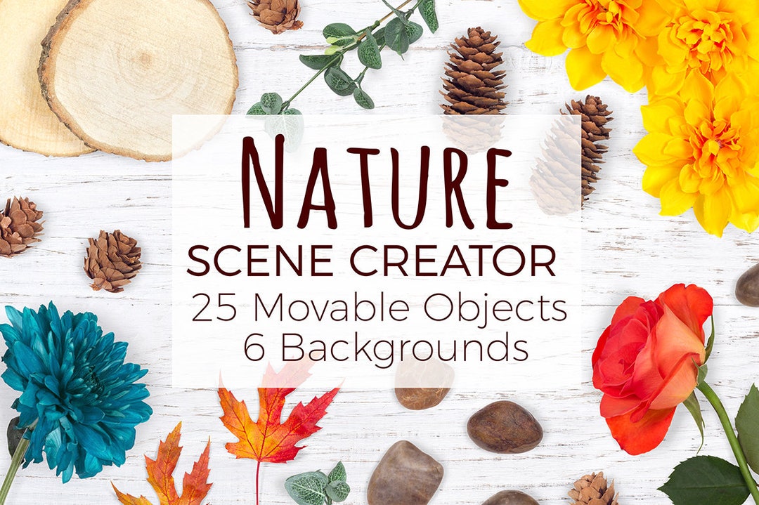 Nature Scene Creator, Movable Scene With Natural Props, Card Mockup ...