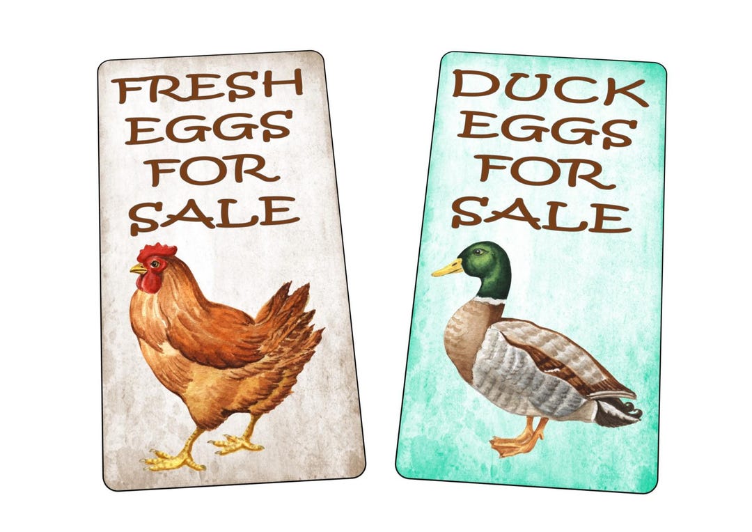 Fresh Eggs for Sale Sign Duck Eggs Sign Farm Eggs Sign Rustic Eggs for ...
