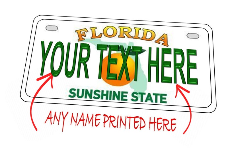 American Personalised Number Plate Personalised Florida Number Plate ...