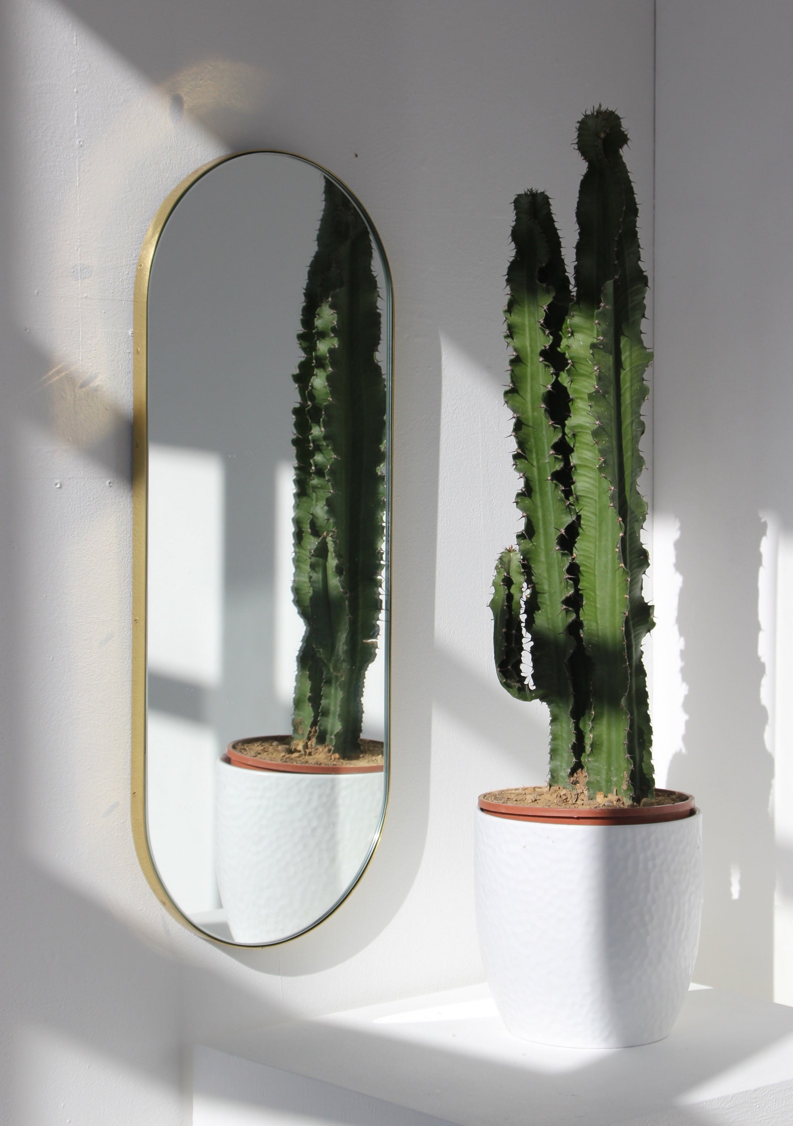 Capsula™ Capsule Shaped Contemporary Narrow Mirror With a | Etsy