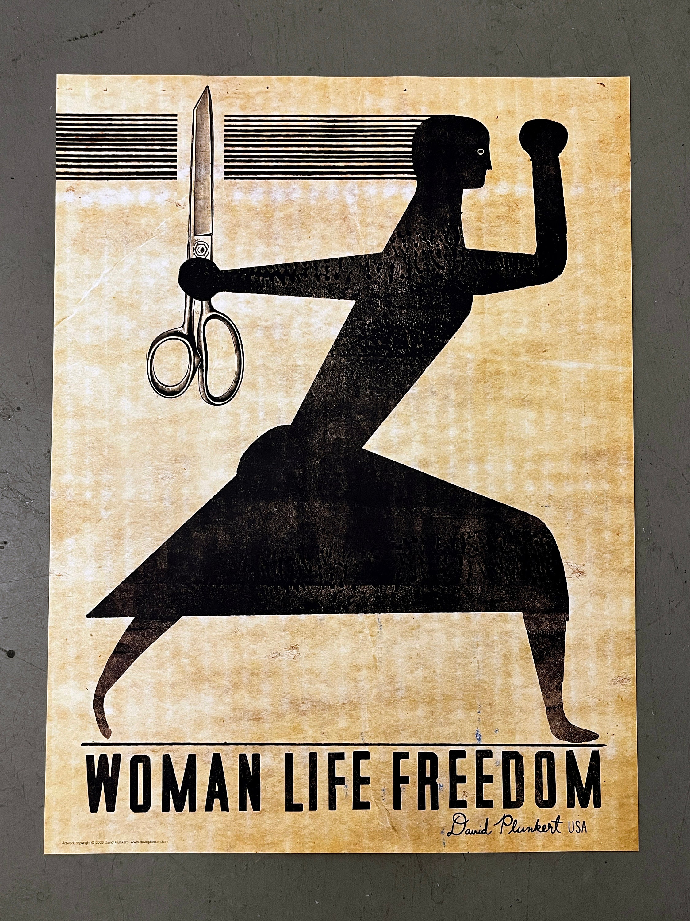 Woman Life Freedom Poster by David Plunkert, Iranian Women's Rights ...