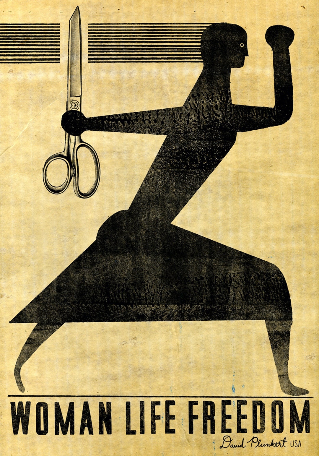 Woman Life Freedom Poster by David Plunkert, Iranian Women's Rights ...