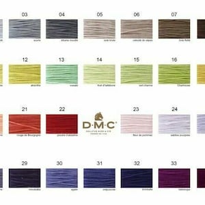 DMC Shade Card With Real Thread Samples - Mouliné Stranded Cotton Pearl ...