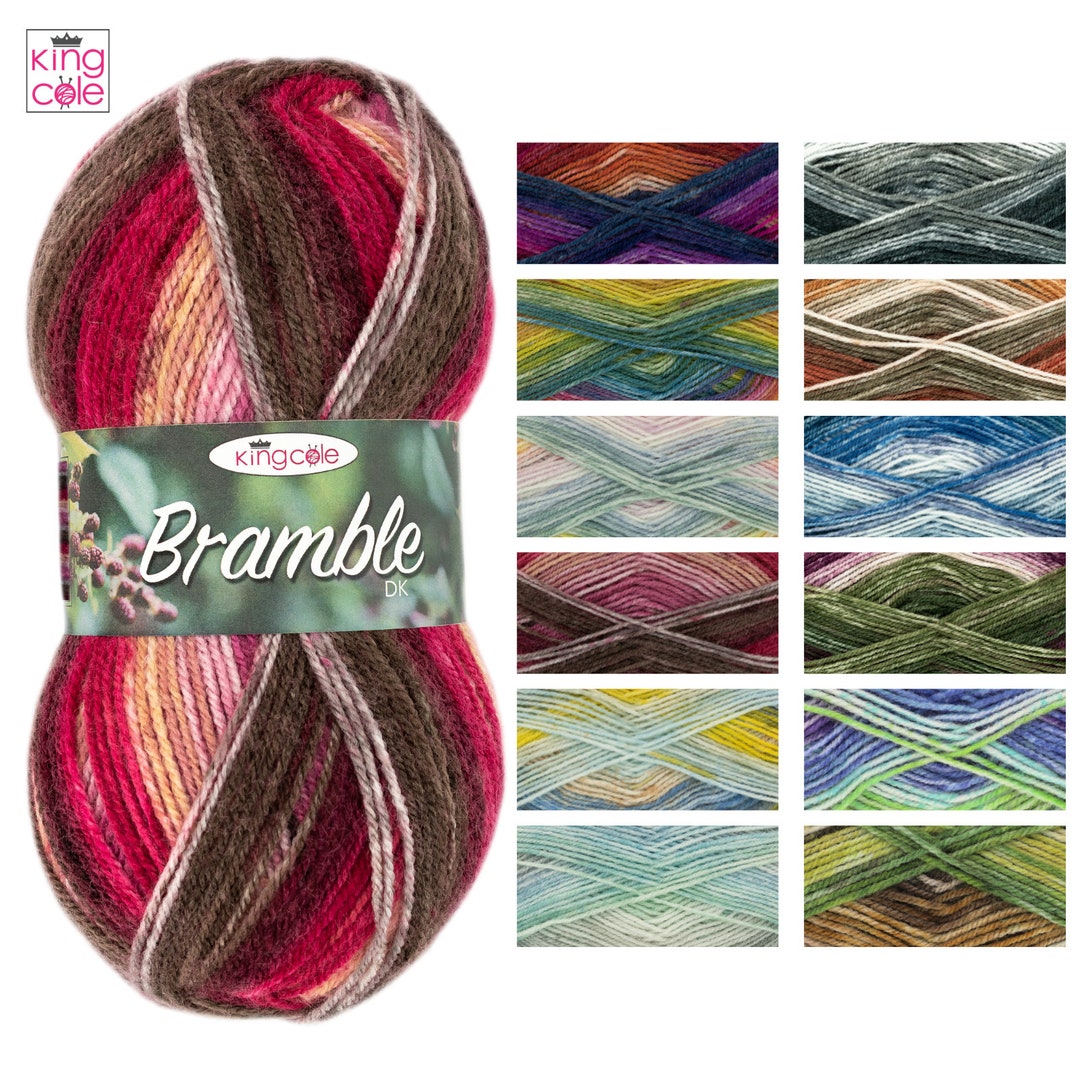 King Cole Bramble DK Double Knitting Self Striping Yarn 100g - Etsy
