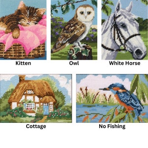 Anchor Tapestry Kits Ideal for Beginners Needlepoint Kit Gift Many ...