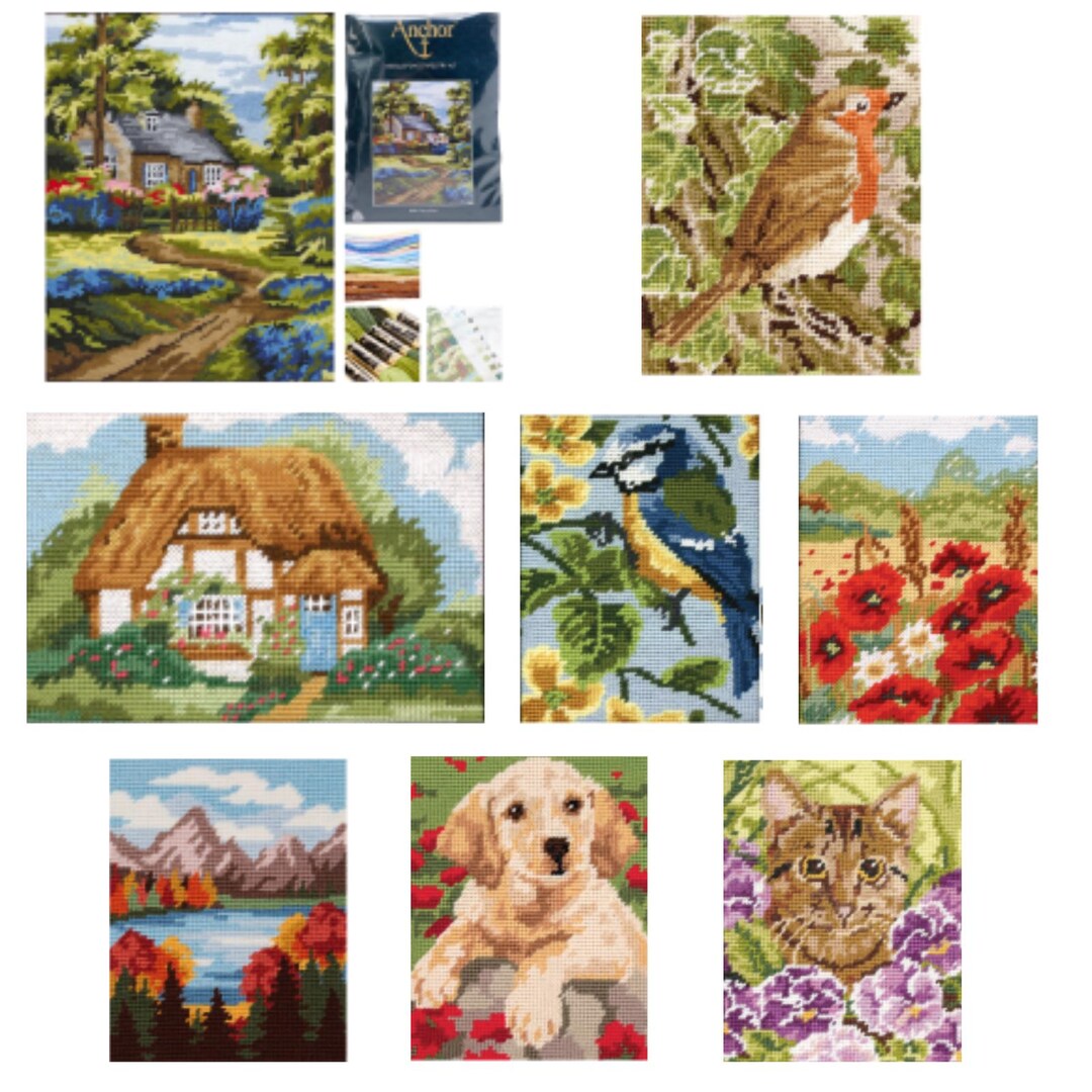Anchor Tapestry Kits - Ideal for Beginners Needlepoint Kit Gift - Many ...