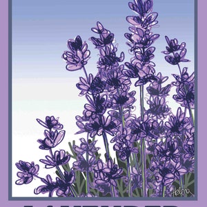 Lavender Poster - Etsy