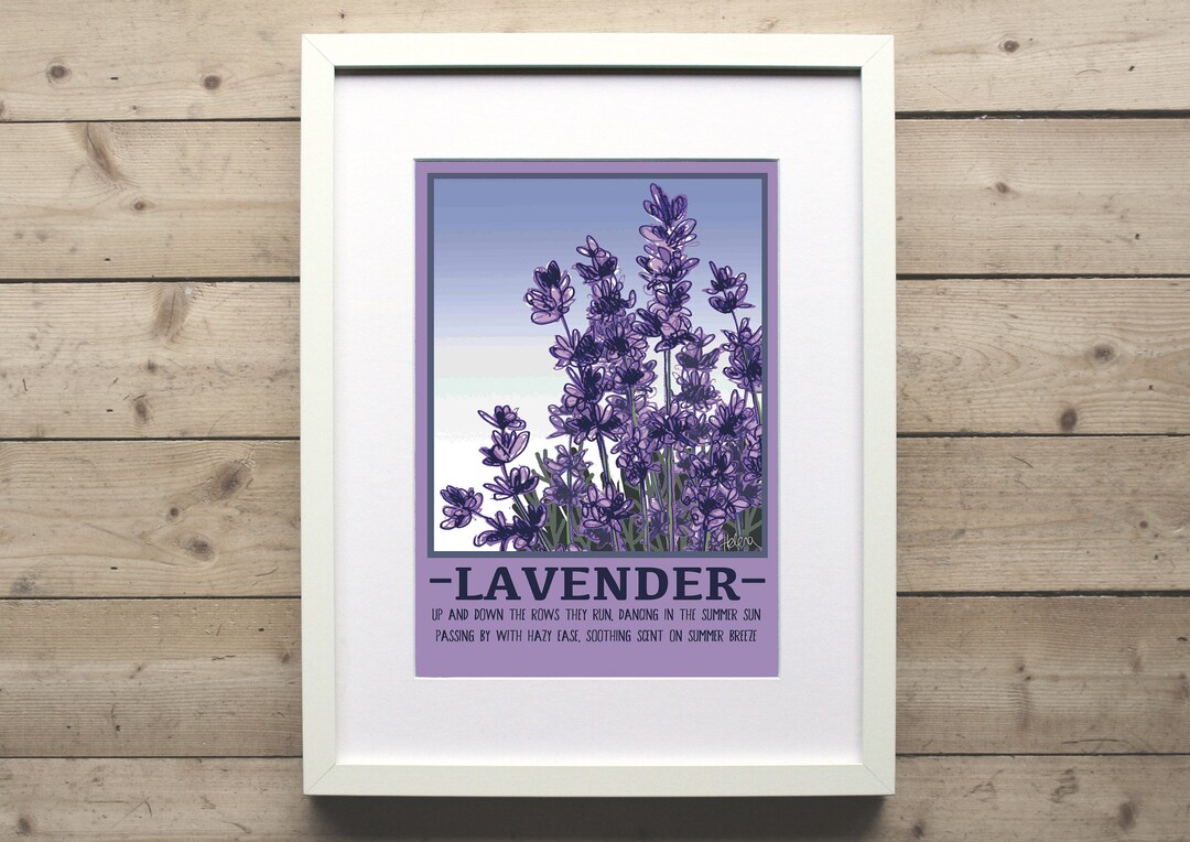 Lavender Poster - Etsy