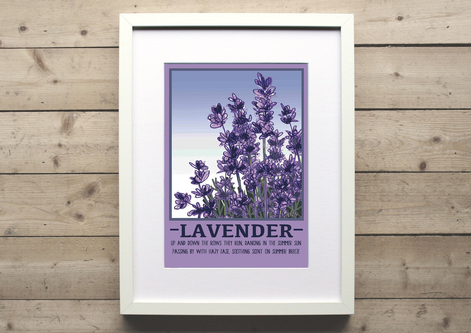 Lavender Poster - Etsy