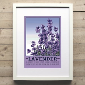 Lavender Poster - Etsy