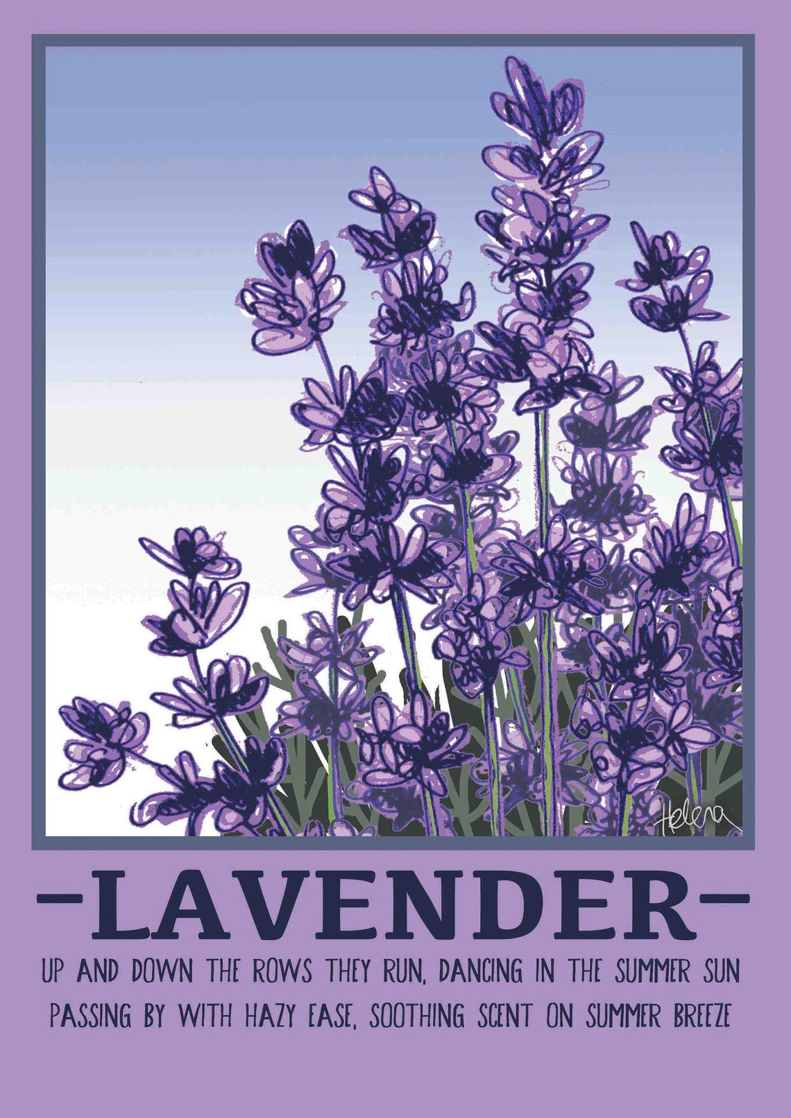 Lavender Poster - Etsy