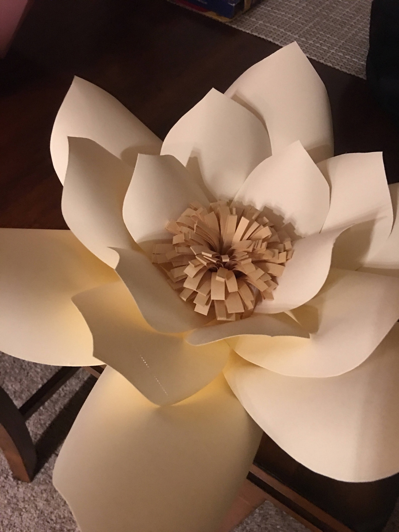 Paper Flower Backdrop - Etsy