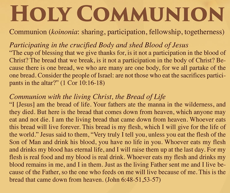 The Lord's Supper Educational Christian Wall Art, Educational Church ...