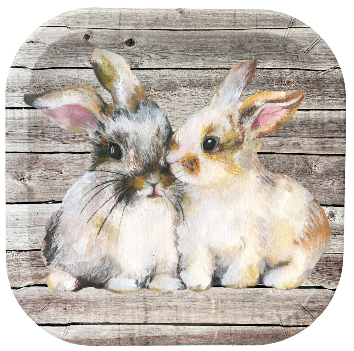 Bunny Paper Plates- Large Rabbit Plates, Bunny Plates, Bunny Party ...