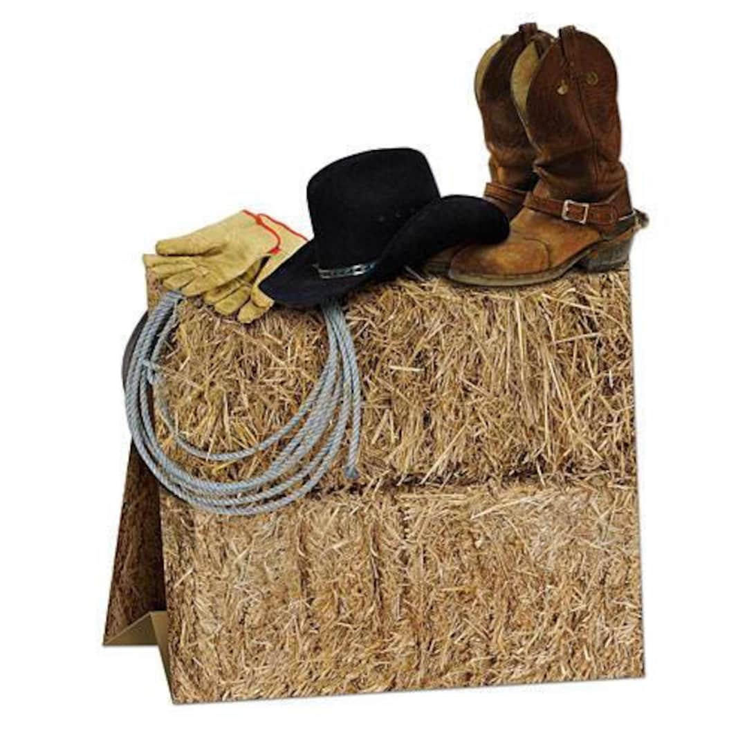 3-D Western Table Centerpiece/ My First Rodeo Party/ Barnyard Party ...