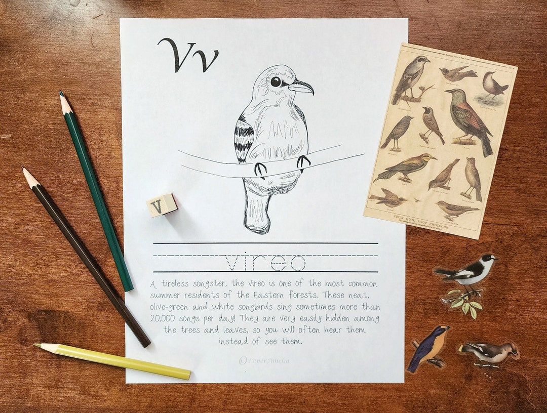 V is for Vireo Nature Alphabet Page-digital Download-nature Inspired ...