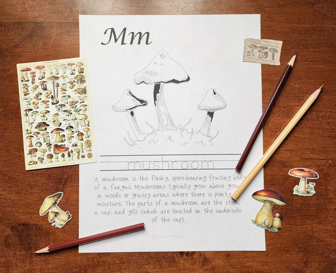 M is for Mushroom Nature Alphabet Page-digital Download-nature Inspired ...