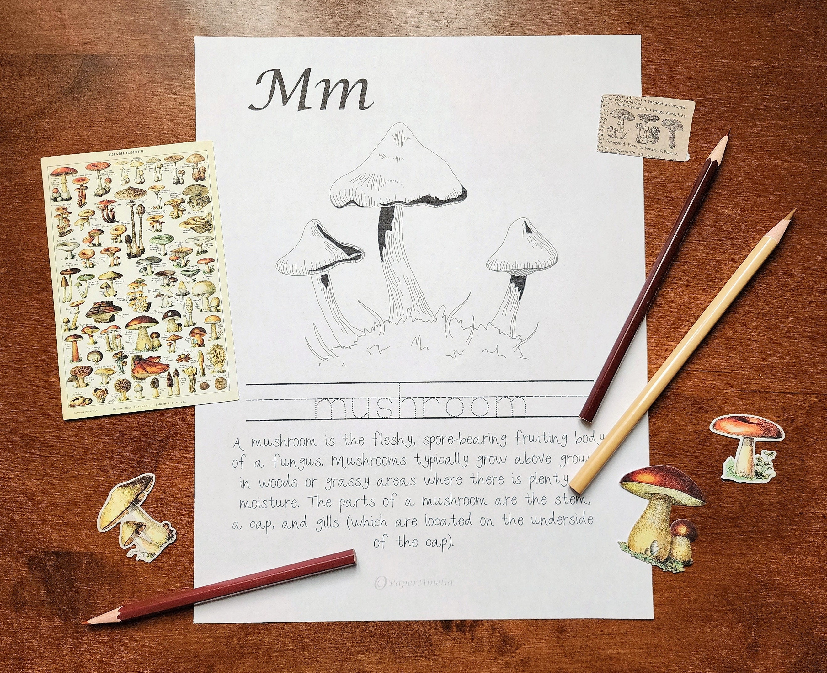 M is for Mushroom Nature Alphabet Page-digital Download-nature Inspired ...