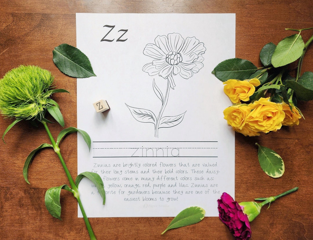 Z is for Zinnia Nature Alphabet Page-digital Download-nature Inspired ...