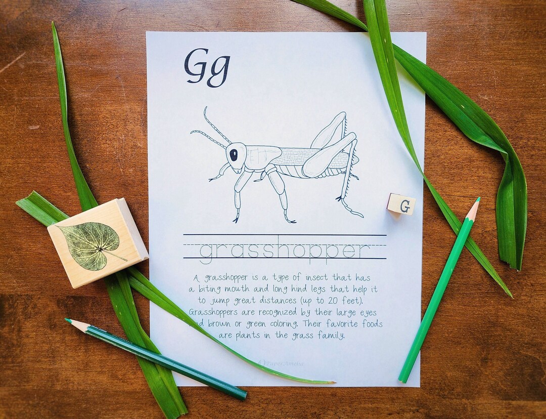G is for Grasshopper Nature Alphabet Page-digital Download-nature ...