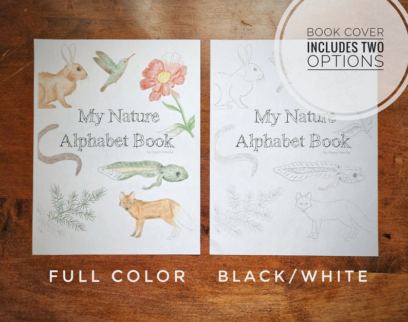 My Nature Alphabet Book- DIGITAL DOWNLOAD- Nature Inspired Coloring ...