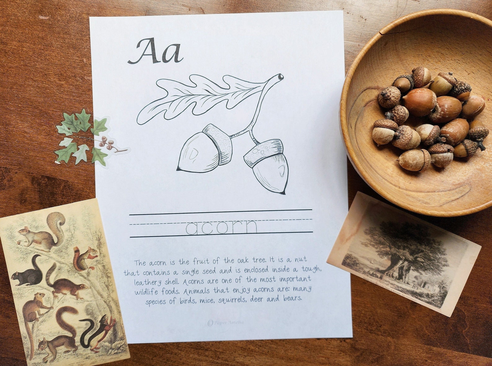 A is for Acorn Nature Alphabet Page- DIGITAL DOWNLOAD- Nature Inspired ...
