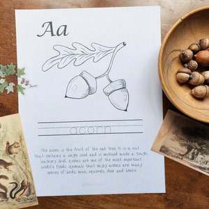 A is for Acorn Nature Alphabet Page- DIGITAL DOWNLOAD- Nature Inspired ...