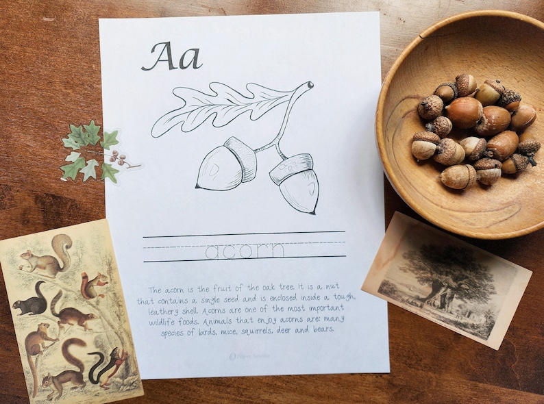 A is for Acorn Nature Alphabet Page- DIGITAL DOWNLOAD- Nature Inspired ...